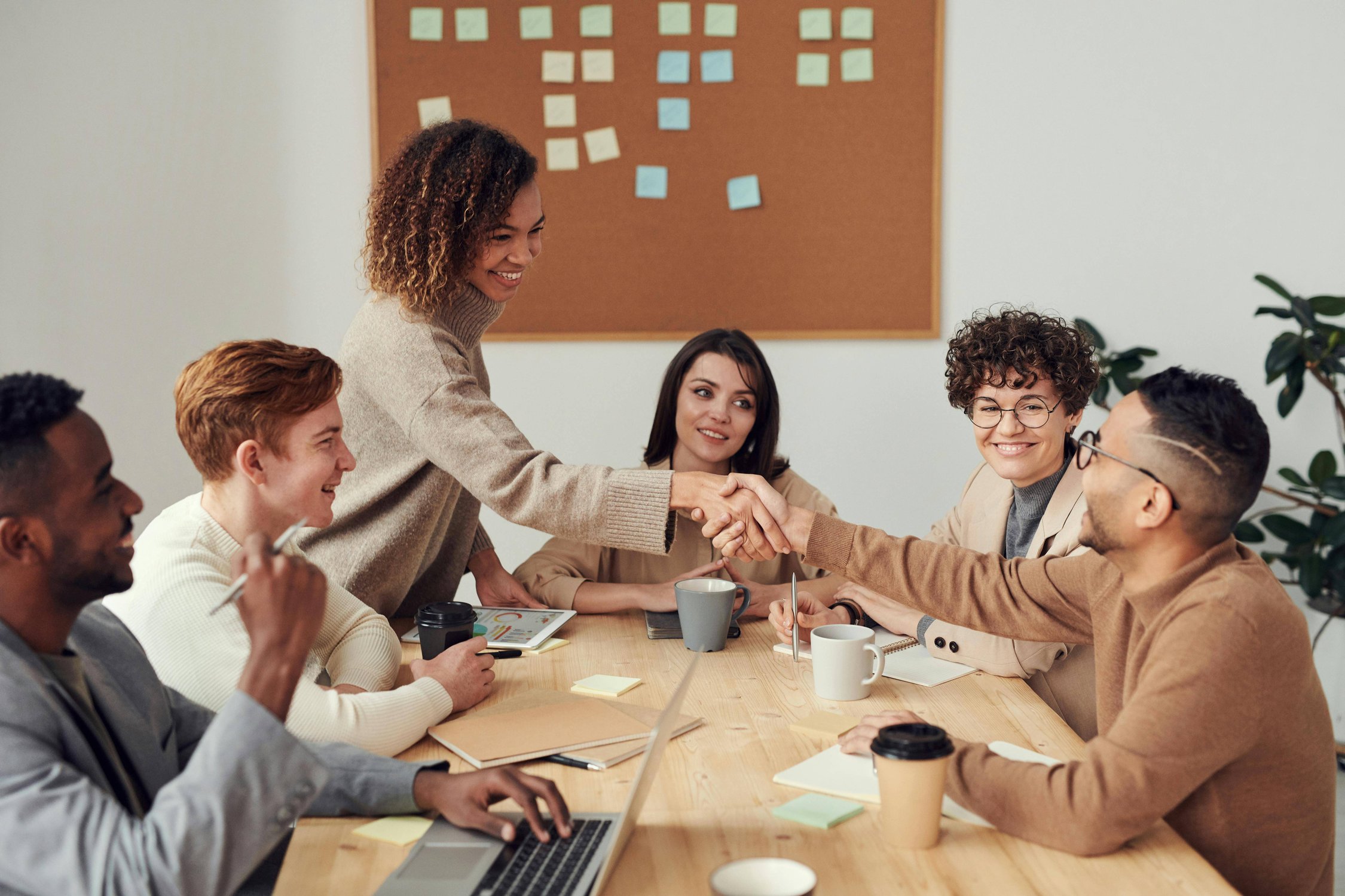 Cultivating Workplace Unity for Enhanced Productivity
